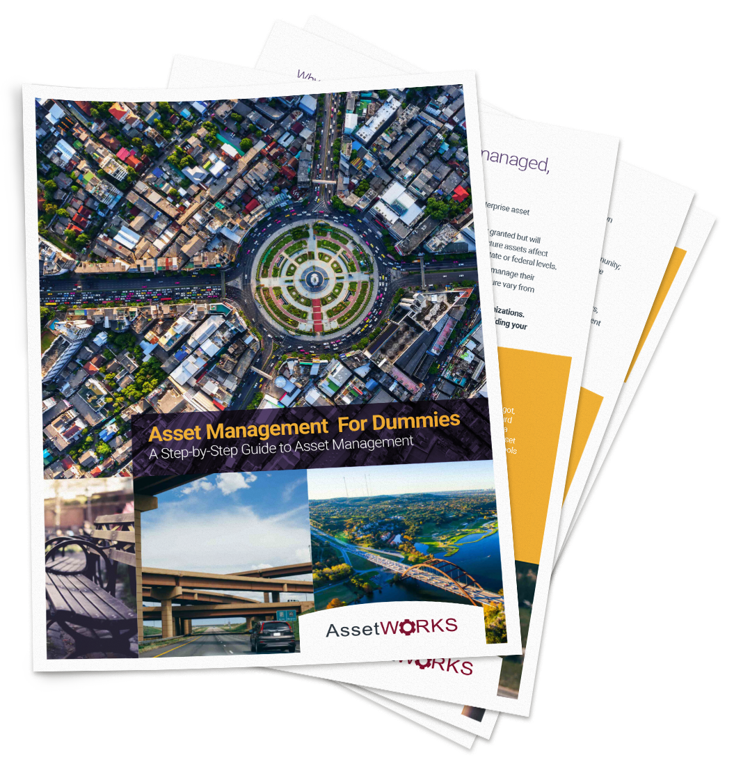 Asset Management for Dummies - Enterprise Asset Management