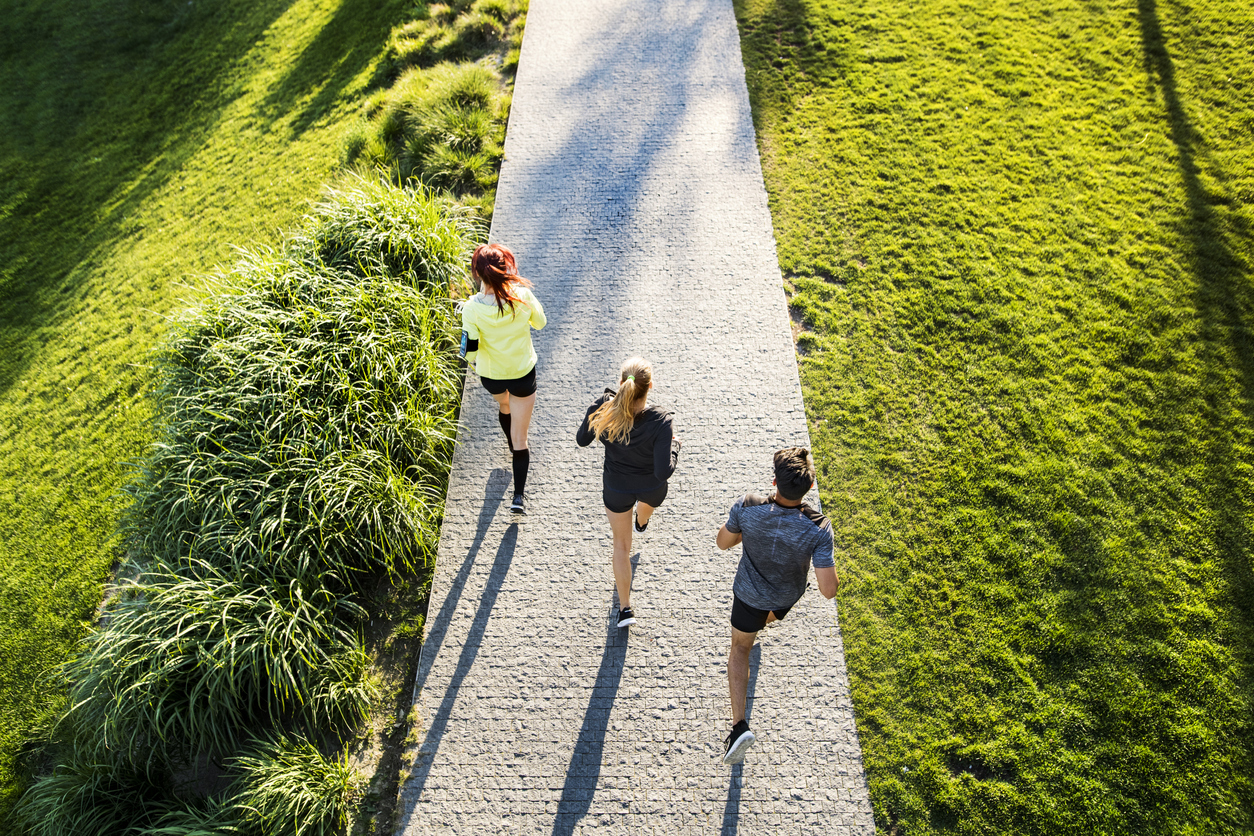 Trail Maintenance: Ensuring a Safe, Enjoyable Outdoor Experience